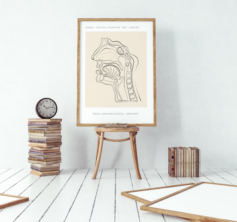 Medical Art, Nasal Cavity, Anatomy Wall Art, Anatomy Prints, Larynx ...