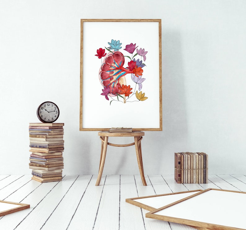 Anatomy Art Prints Set Medical Art Human Anatomy Colorful - Etsy