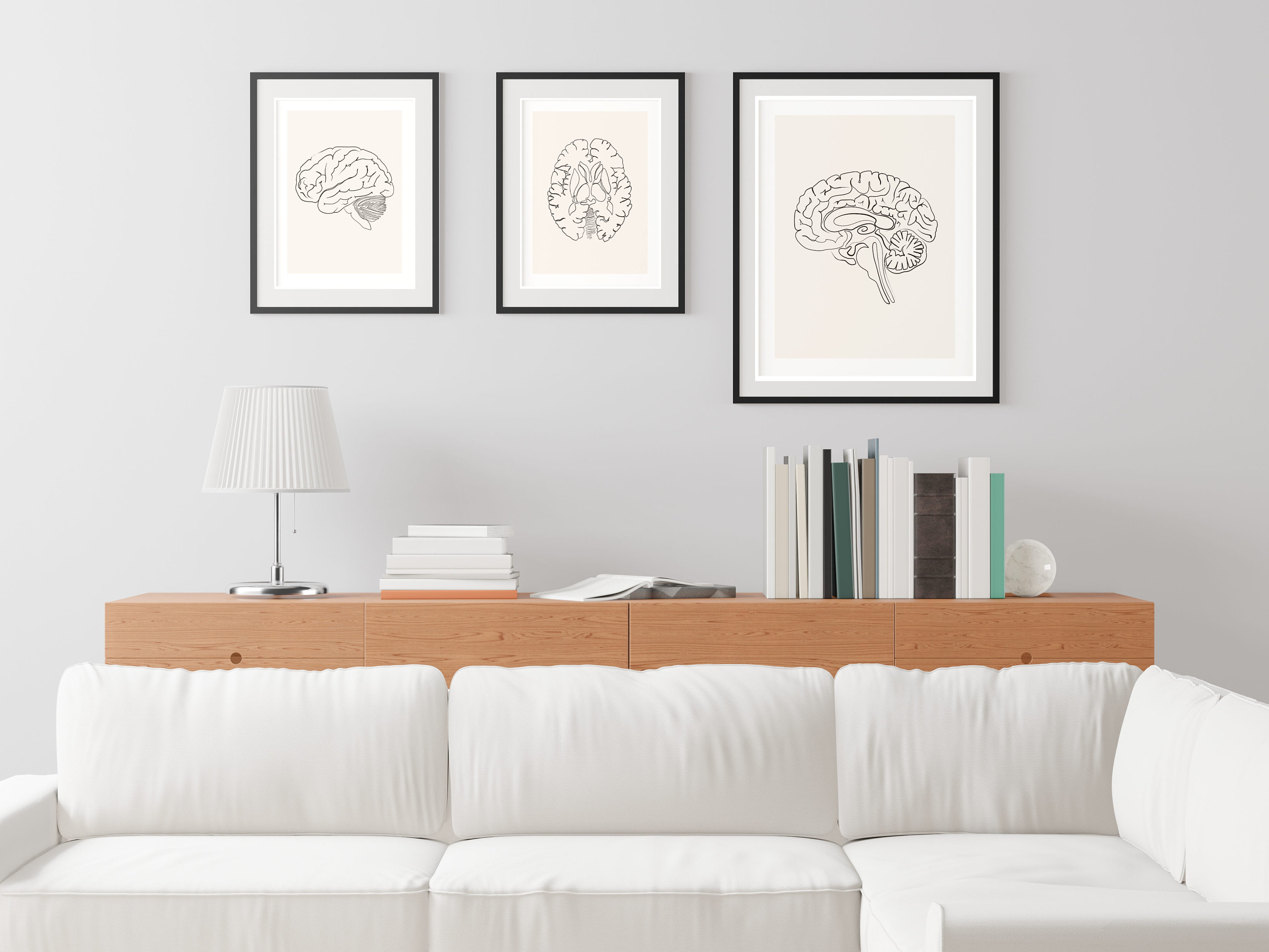Human Anatomy Art Brain Wall Art Neuroscience Art Digital - Etsy