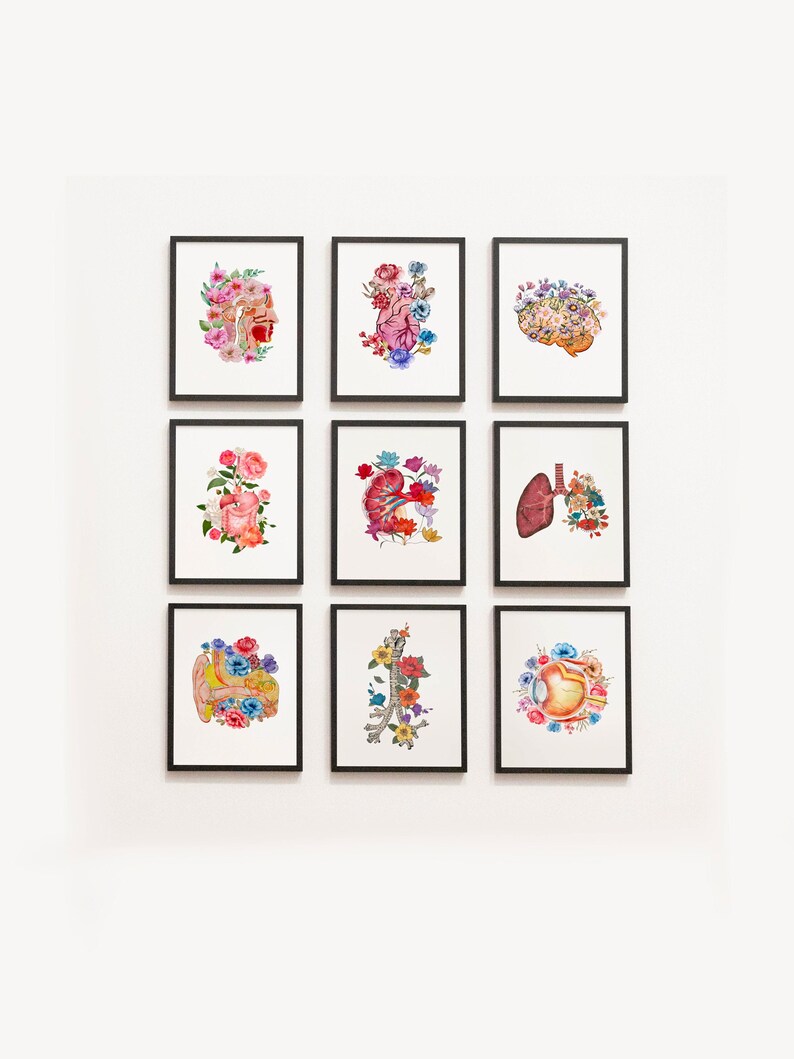 Anatomy Art Prints Set Medical Art Human Anatomy Colorful - Etsy
