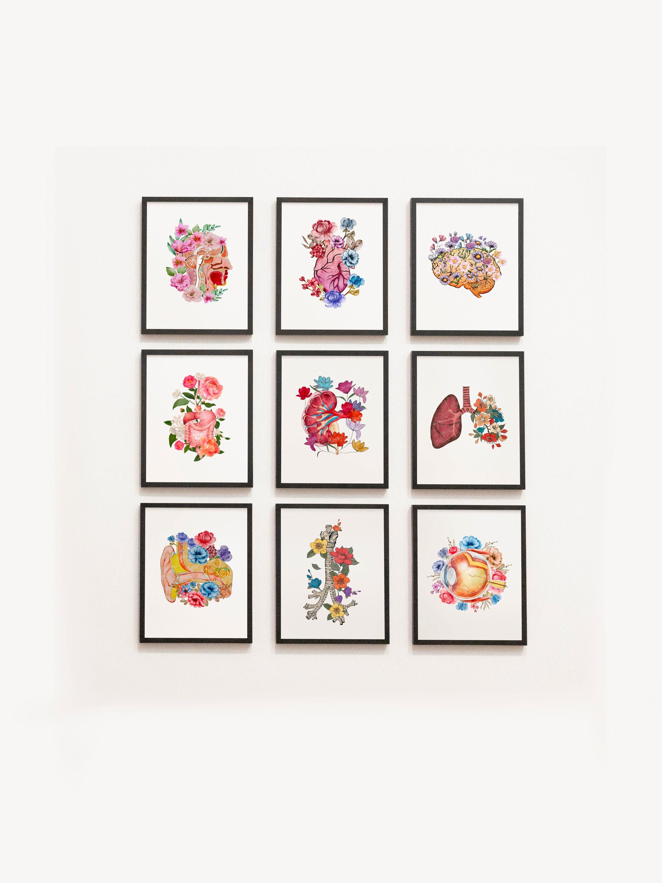 Anatomy Art Prints Set, Medical Art, Human Anatomy Colorful, Medical ...