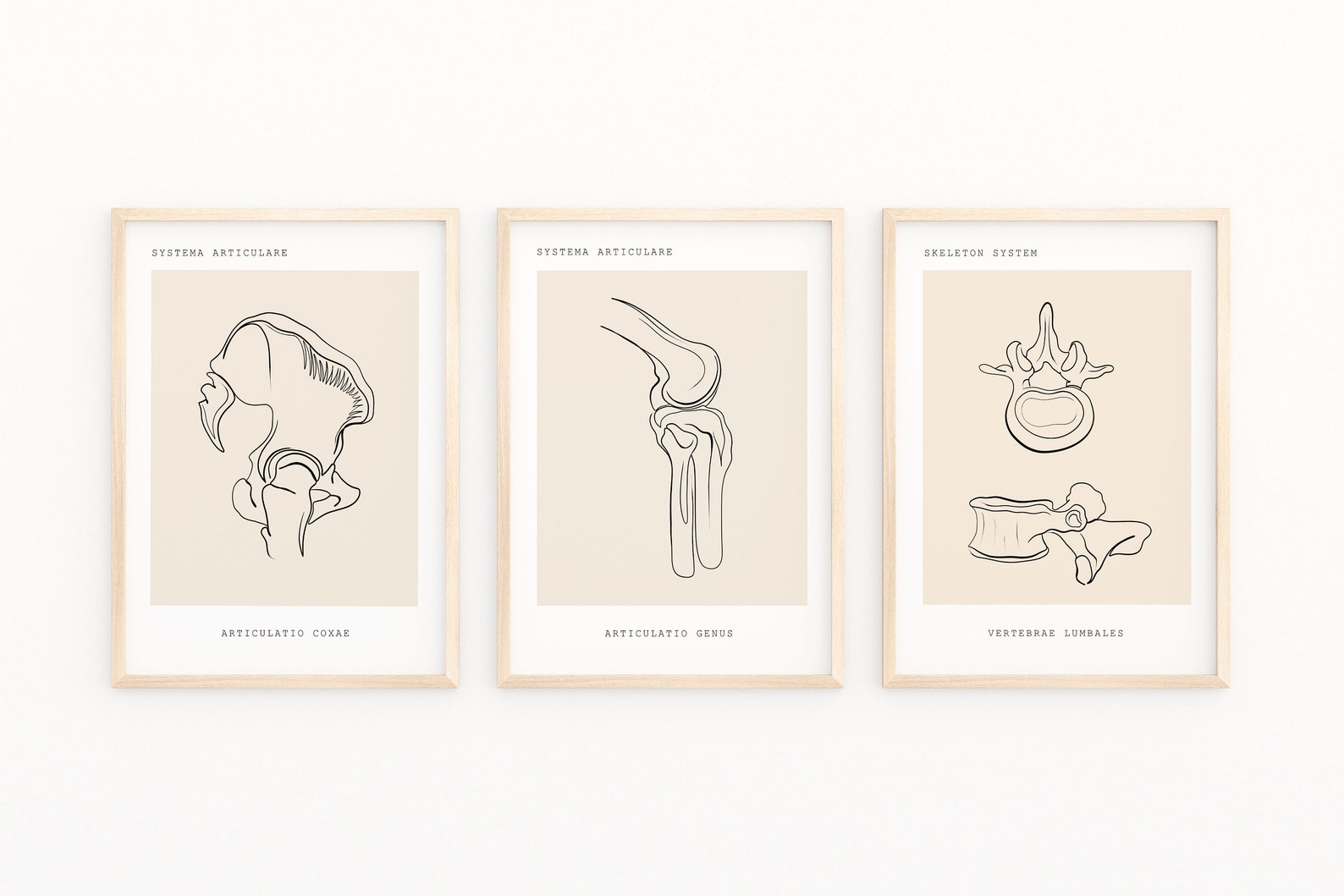 Human Anatomy Art Printsmedical Wall Art Set Anatomy Art - Etsy UK
