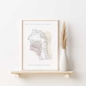 Anatomy Art, ENT Print, Medical Art, Ear Throat Nose Anatomy Pharynx ...