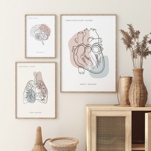 Anatomy, Medical Wall Art, Brain Art, Heart Art, Anatomy Art Prints ...