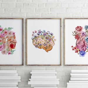 Anatomy Wall Art Set, Medical Poster, Anatomy Print Set, Medical Art ...
