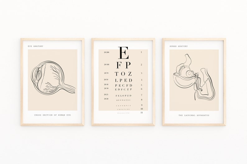 Ophthalmologist Wall Decor, Eye Anatomy Print, Medical Art ...