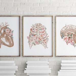Set of 9 Anatomy Art, Medical Art, Anatomy Poster, Floral Anatomy Wall ...