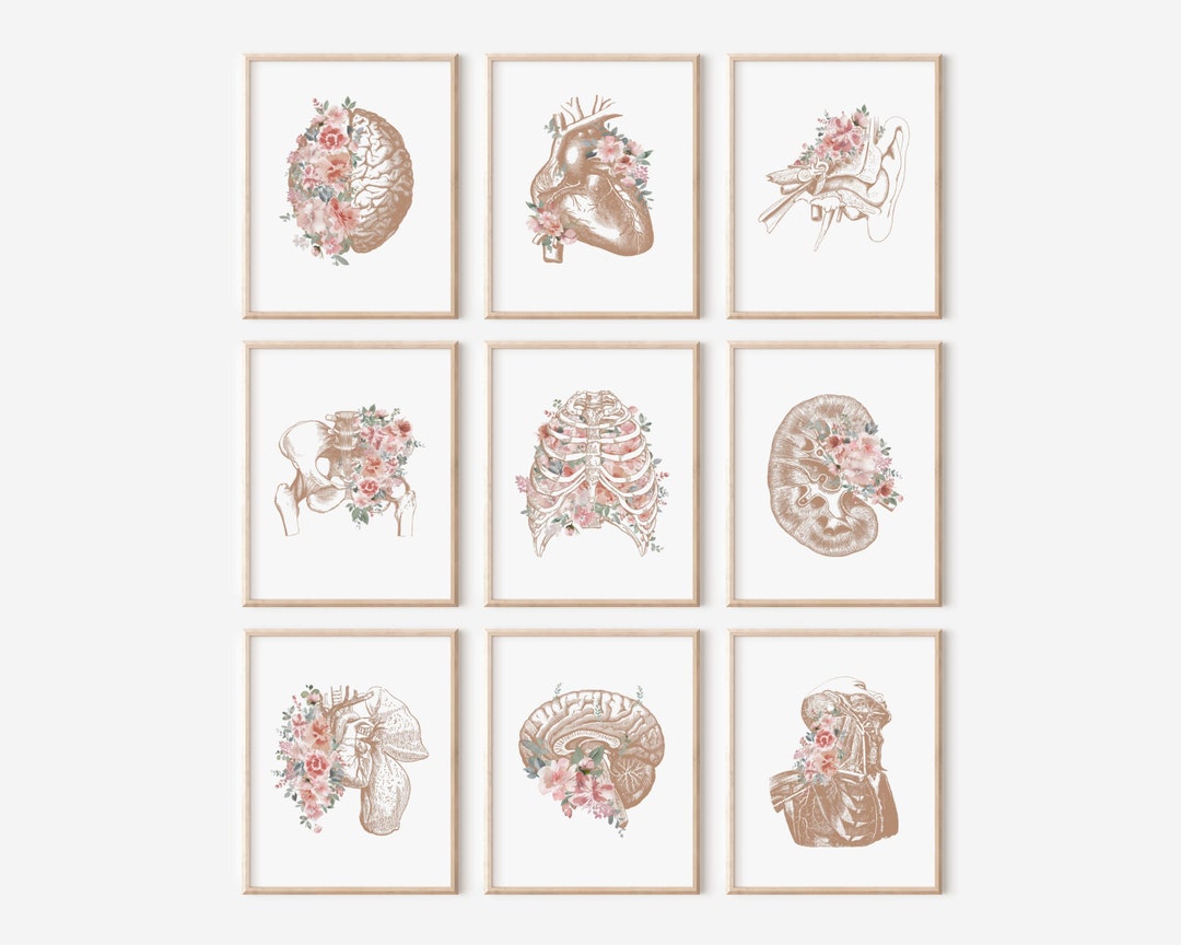 Set of 9 Anatomy Art, Medical Art, Anatomy Poster, Floral Anatomy Wall ...