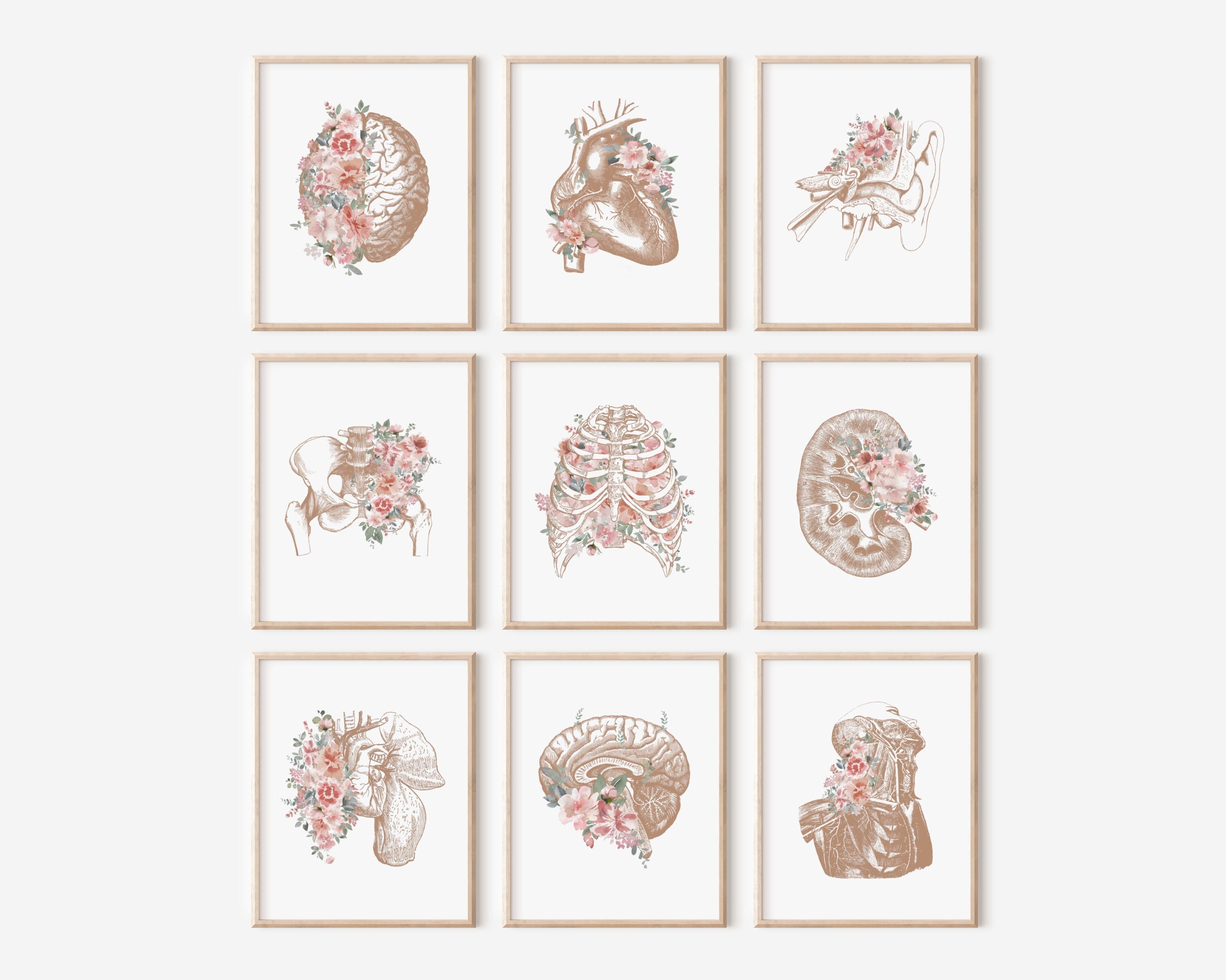 Set of 9 Anatomy Art, Medical Art, Anatomy Poster, Floral Anatomy Wall ...