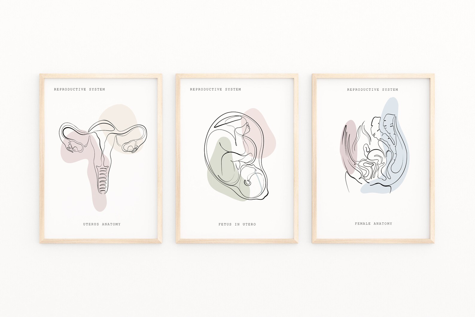 Anatomy Wall Art Set Medical Print Colorful Anatomy Set - Etsy