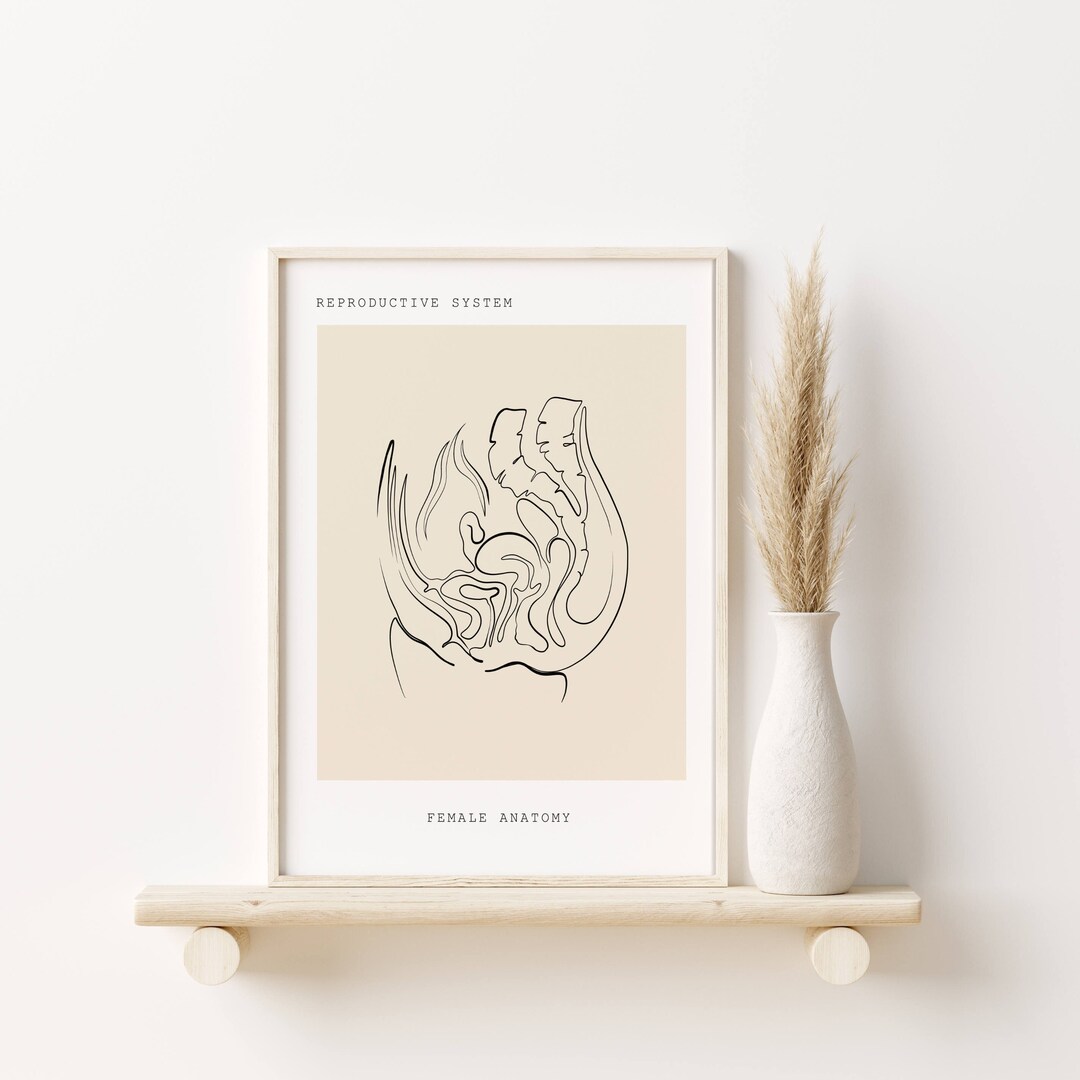 Anatomy Wall Art, Reproductive System Art, Genitourinary System ...