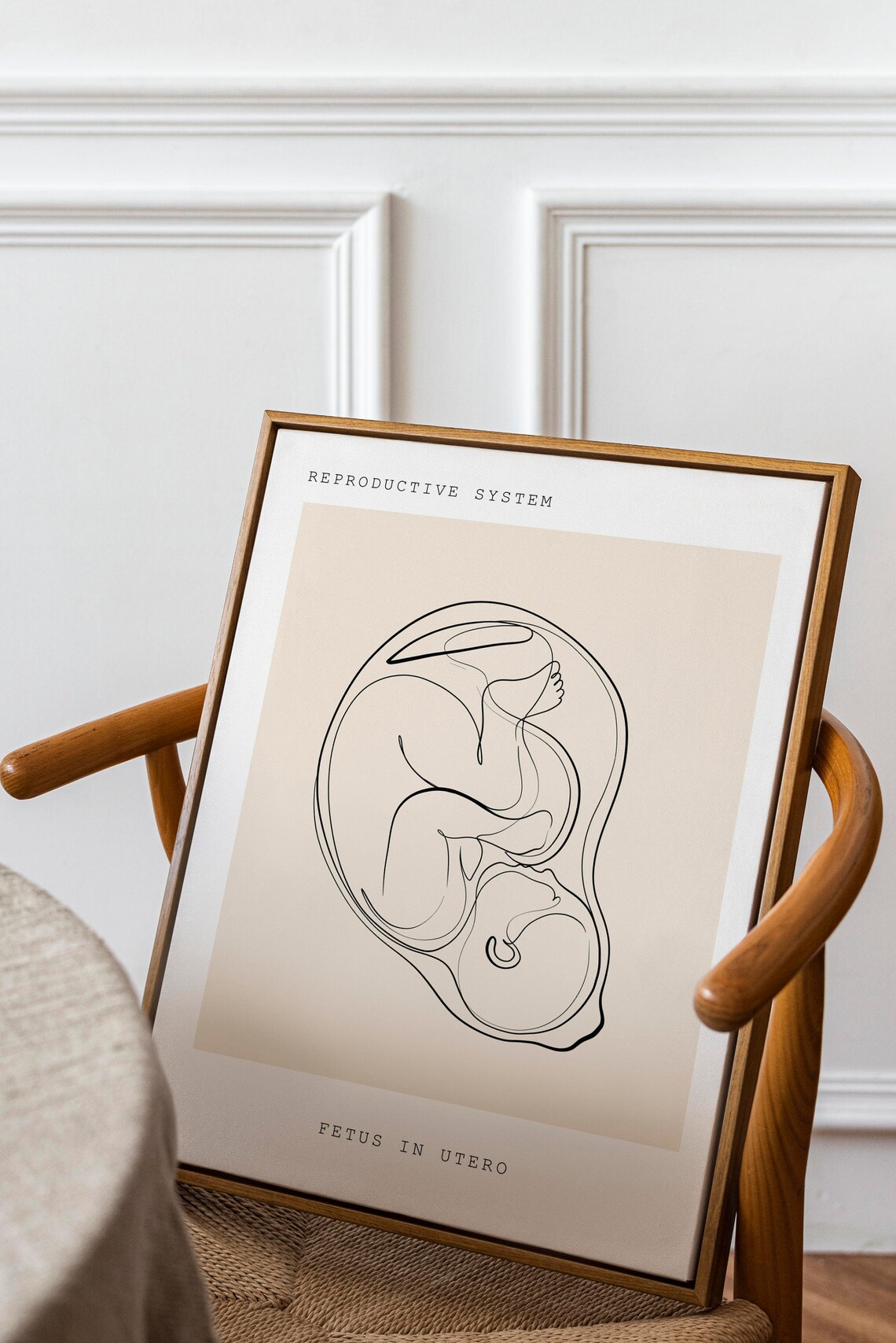 Fetal Anatomy Pregnancy Anatomy Wall Art Reproductive Art - Etsy