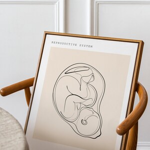 Fetal Anatomy, Pregnancy Anatomy Wall Art, Reproductive Art Print ...
