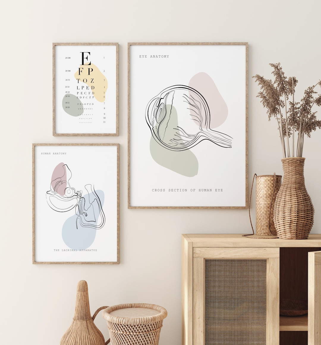 Ophthalmology Poster, Anatomy Wall Art Prints, Eye Clinic Wall Decor ...
