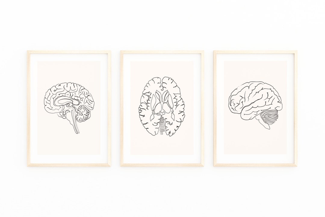 Human Anatomy Art, Brain Wall Art, Neuroscience Art, Digital Brain Art ...