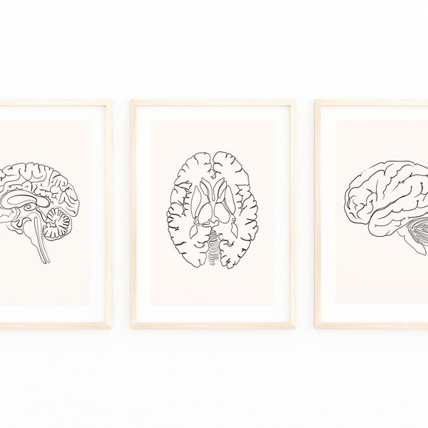 Brain Anatomy - Etsy