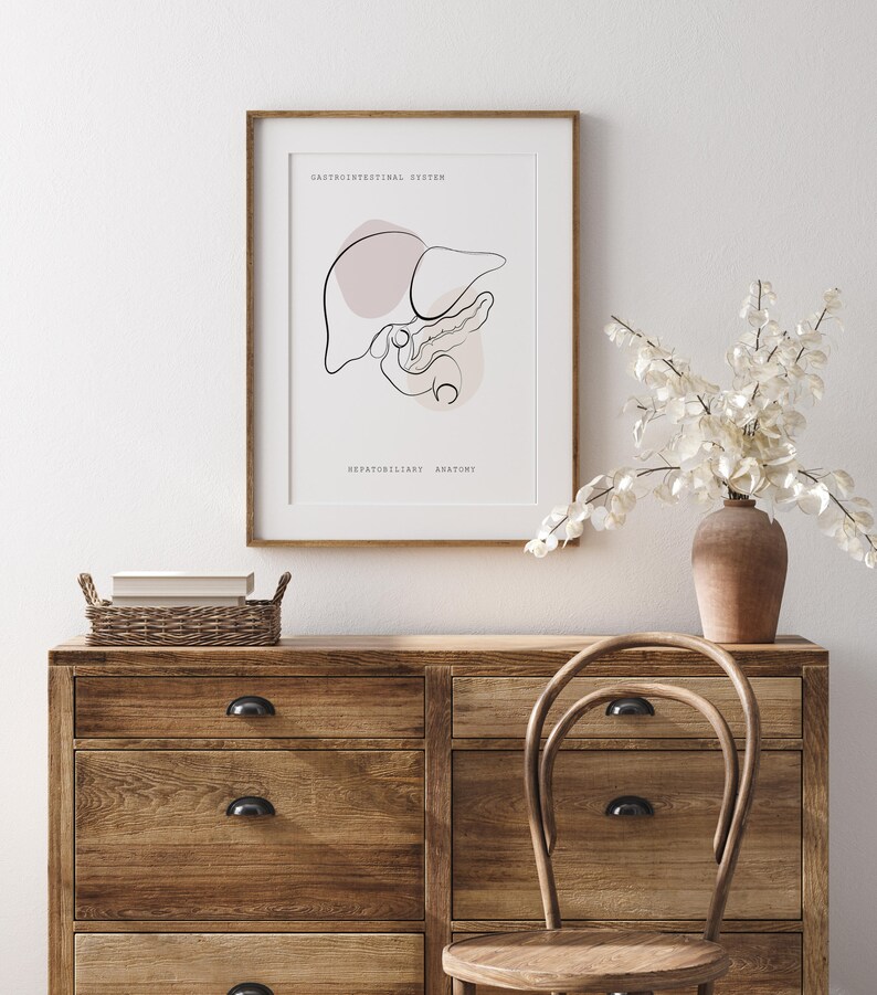 Liver Anatomy Art Print, Gastrointestinal System, Clinic Decor (digital ...