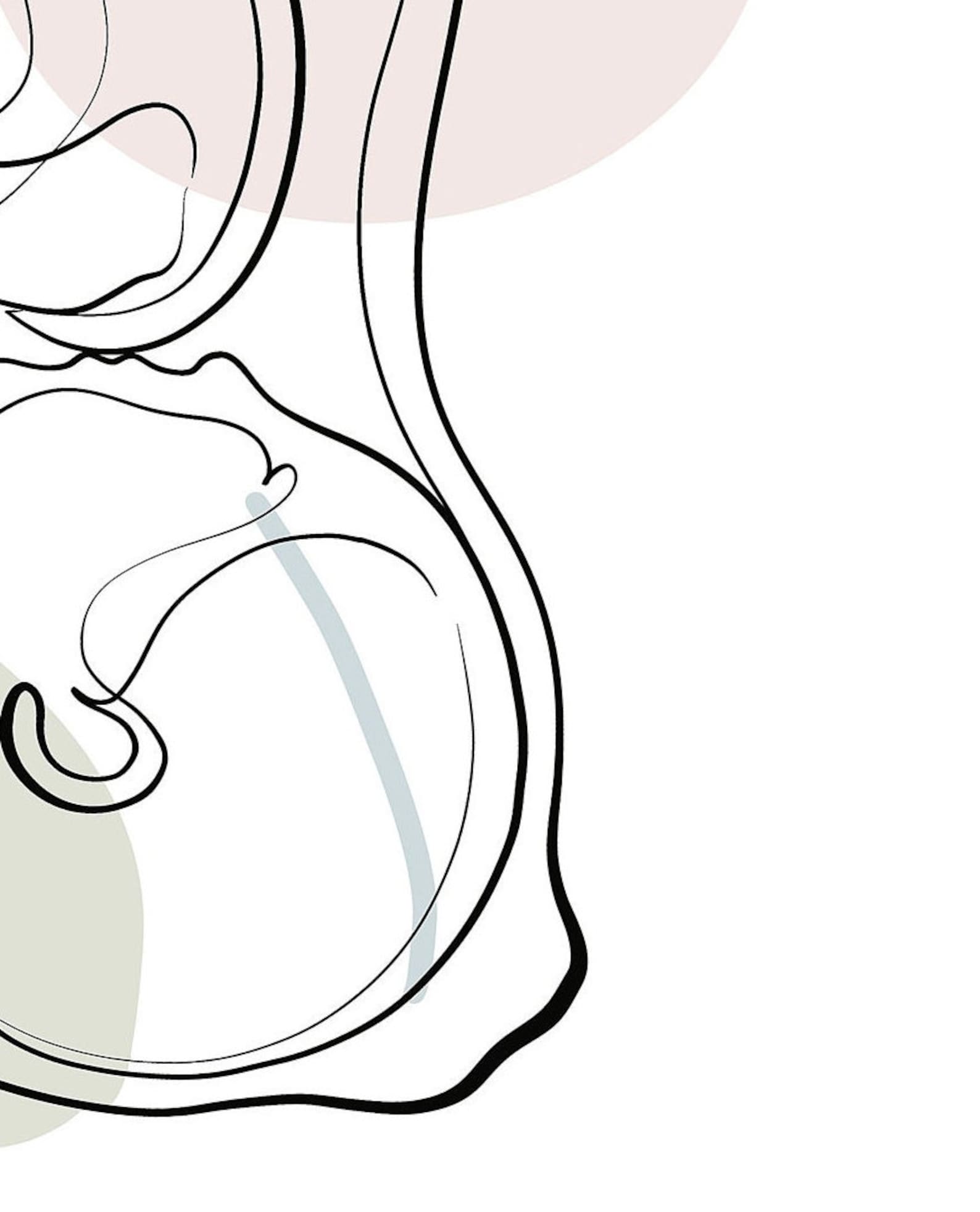 Anatomy Wall Art Set Medical Print Colorful Anatomy Set - Etsy