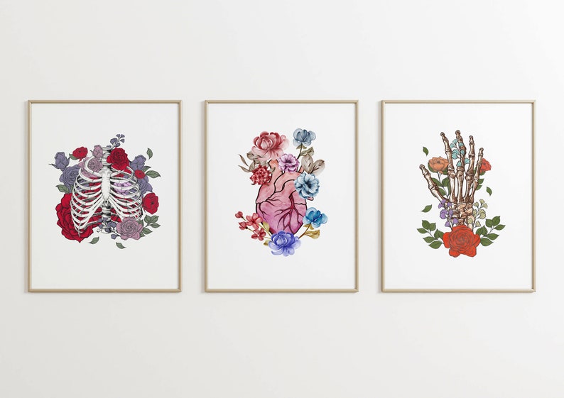 Anatomy Art Set of 6, Medical Art, Anatomy Poster, Doctor Clinic Decor ...