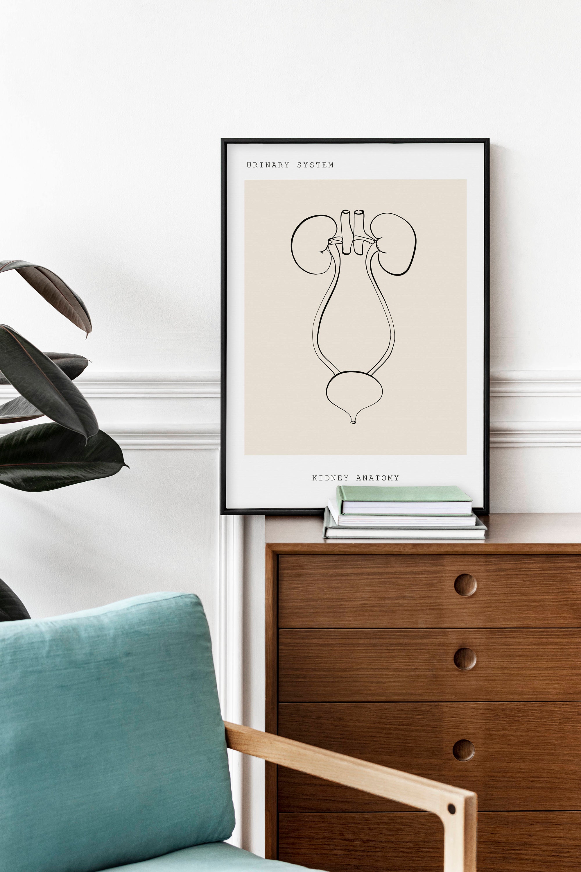 Human Anatomy Art Urinary Tract Anatomy Urinary System - Etsy