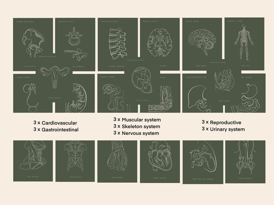 Green Anatomy Art Set 21, Medical Artwork, Doctor Gifts, Medical ...