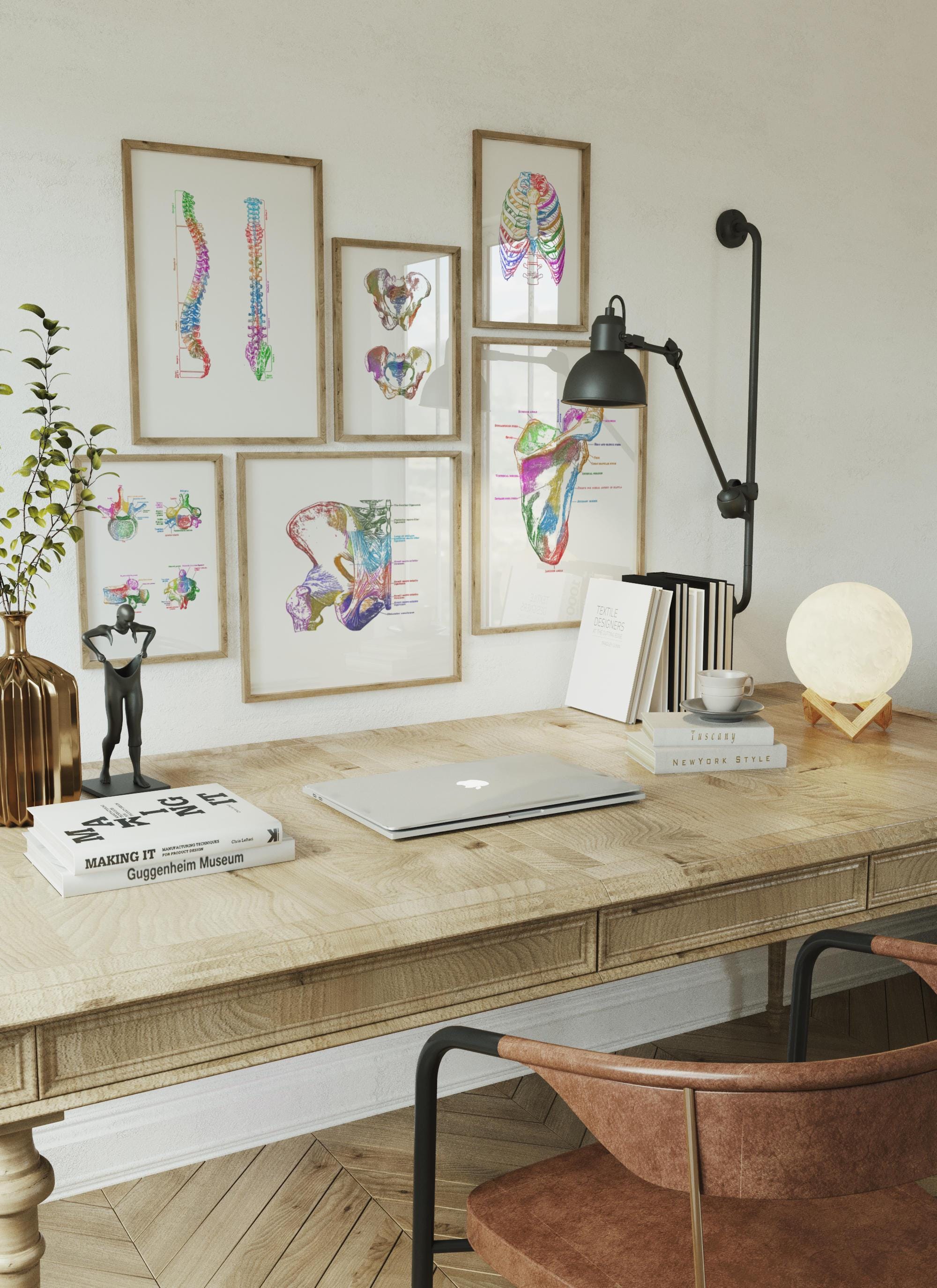 6 Chiropractic Anatomy Art Set, Chiropractor Gift, Medical Artwork ...