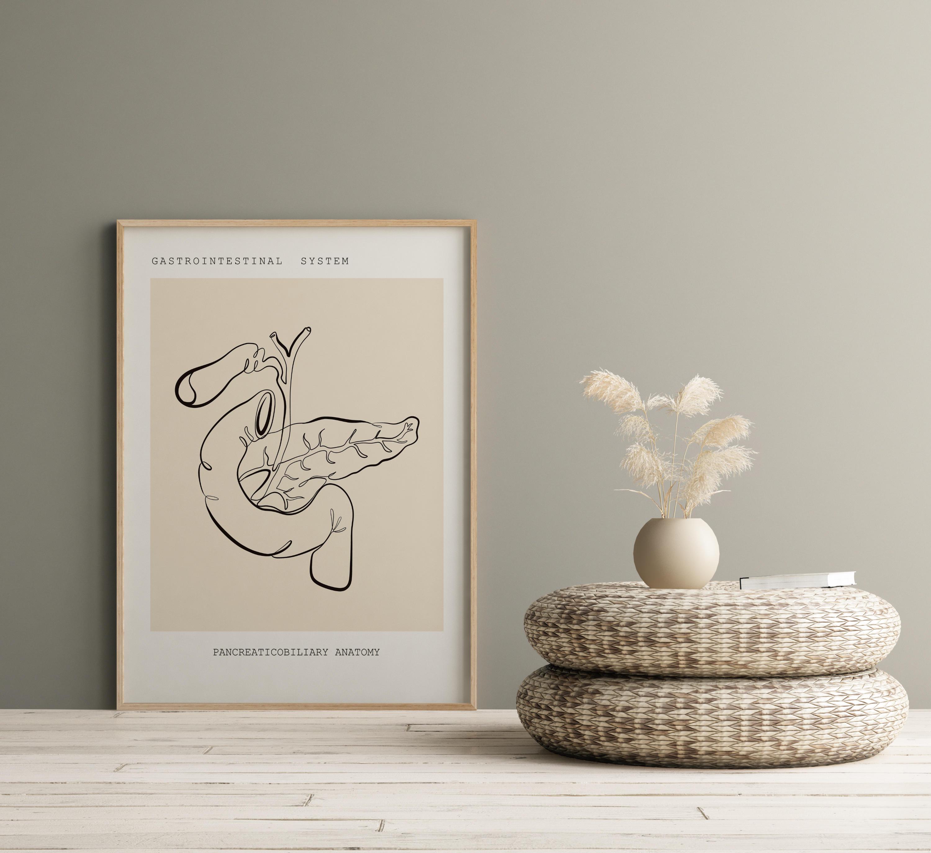 Pancreas Anatomy Art Print, Digestive System Poster (digital Download ...