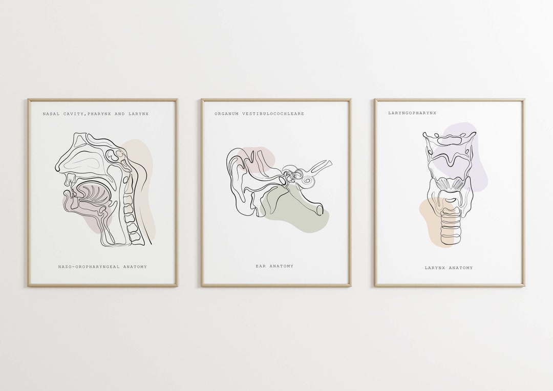 Anatomy Art, ENT Print, Medical Art, Ear Throat Nose Anatomy Pharynx ...