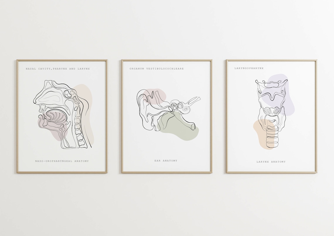 Anatomy Art ENT Print Medical Art Ear Throat Nose Anatomy - Etsy