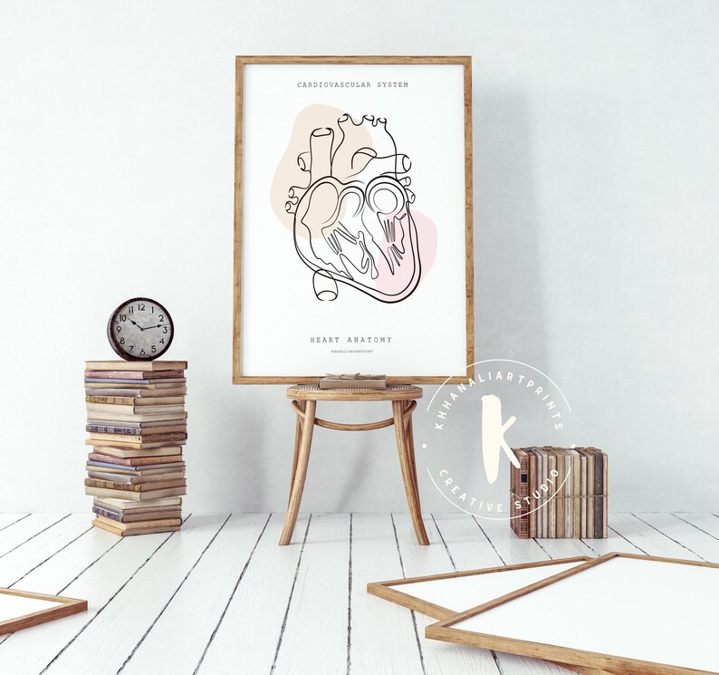 Heart Anatomy Line Art Print – Minimalist Cardiology Decor (digital ...