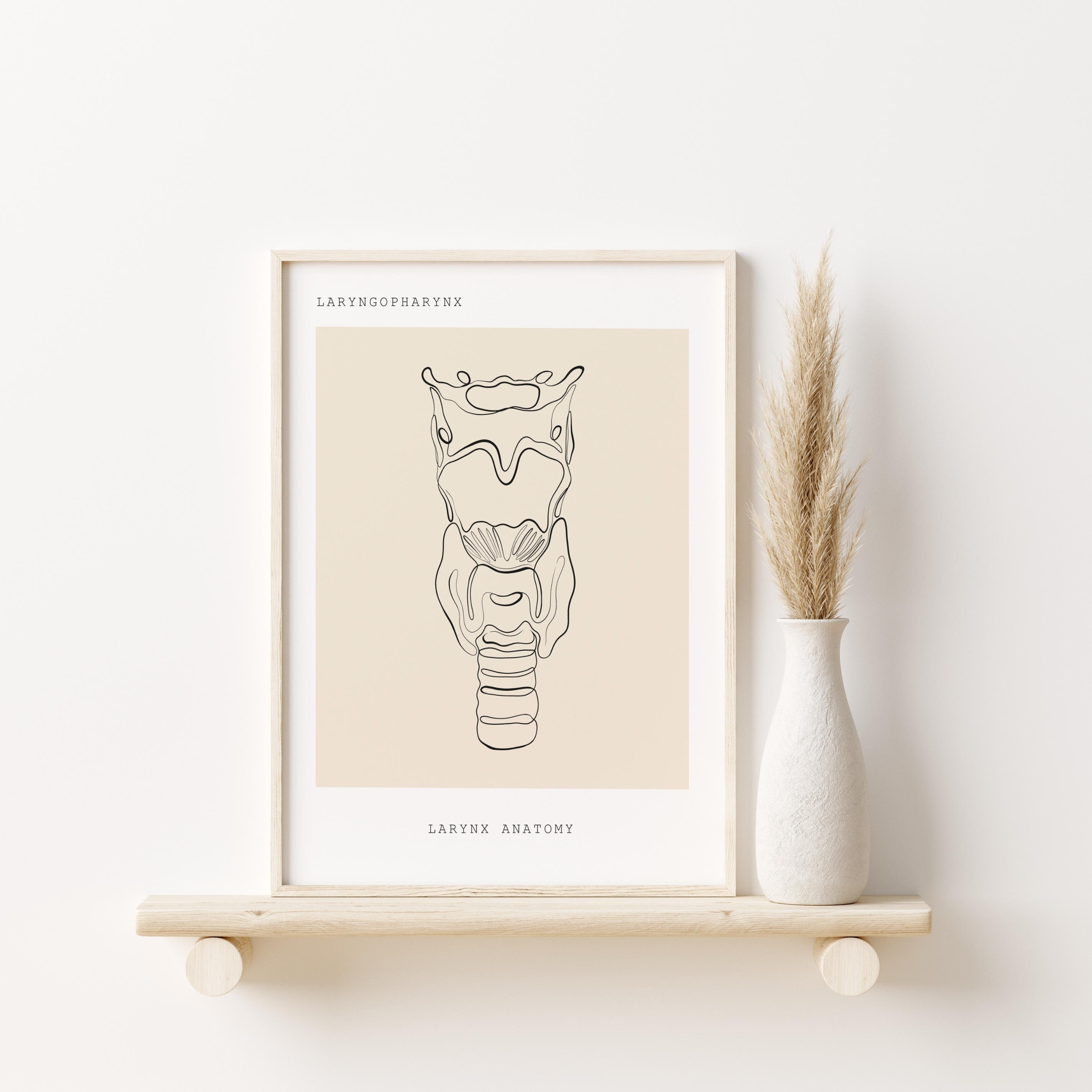 Larynx, Pharynx, Anatomy Art, Medical Art, Anatomy Prints, Medical ...