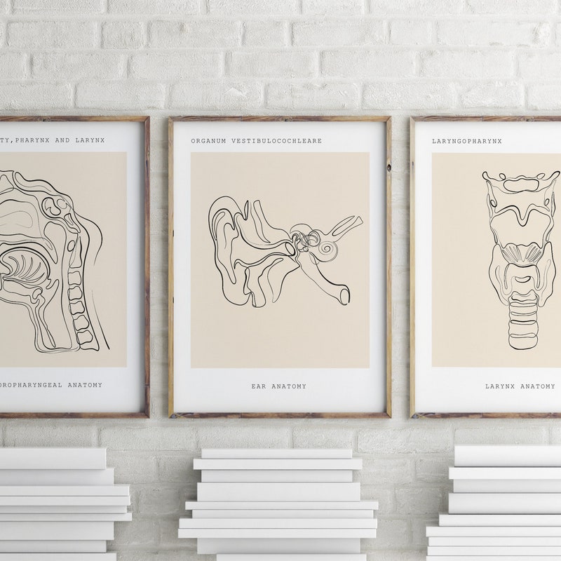 Speech Anatomy Art - Etsy