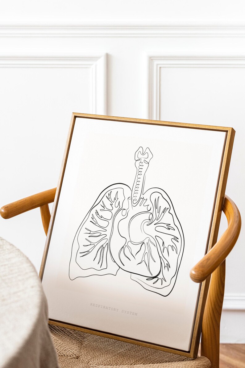 Anatomy Wall Art Anatomy Prints Human Anatomy Art Anatomy - Etsy