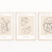 Anatomy Art Set, Human Anatomy Art, Doctors Day Gift,clinic Wall Decor ...