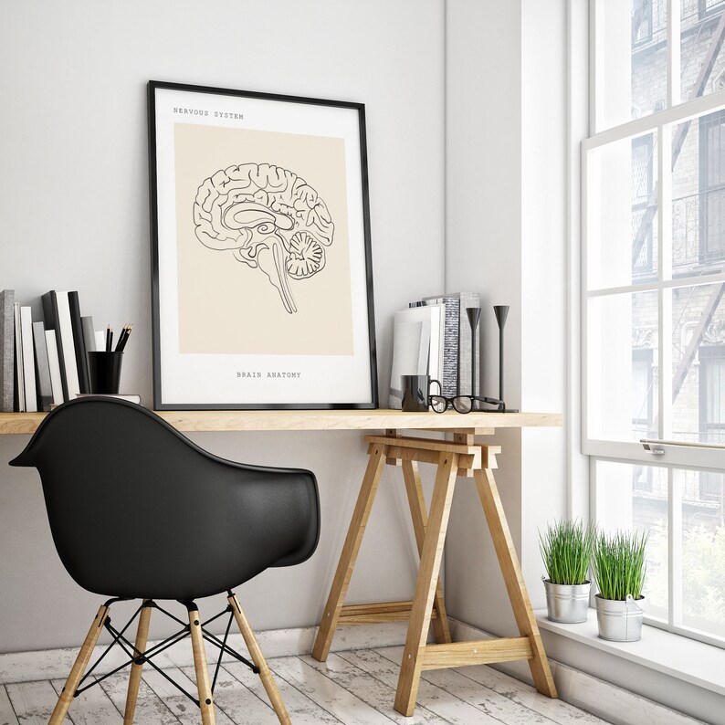 Brain Wall Art Human Anatomy Print Medical Art Brain - Etsy