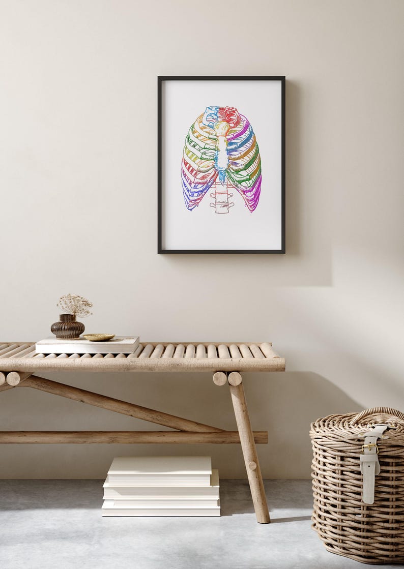 6 Chiropractic Anatomy Art Set, Chiropractor Gift, Medical Artwork ...