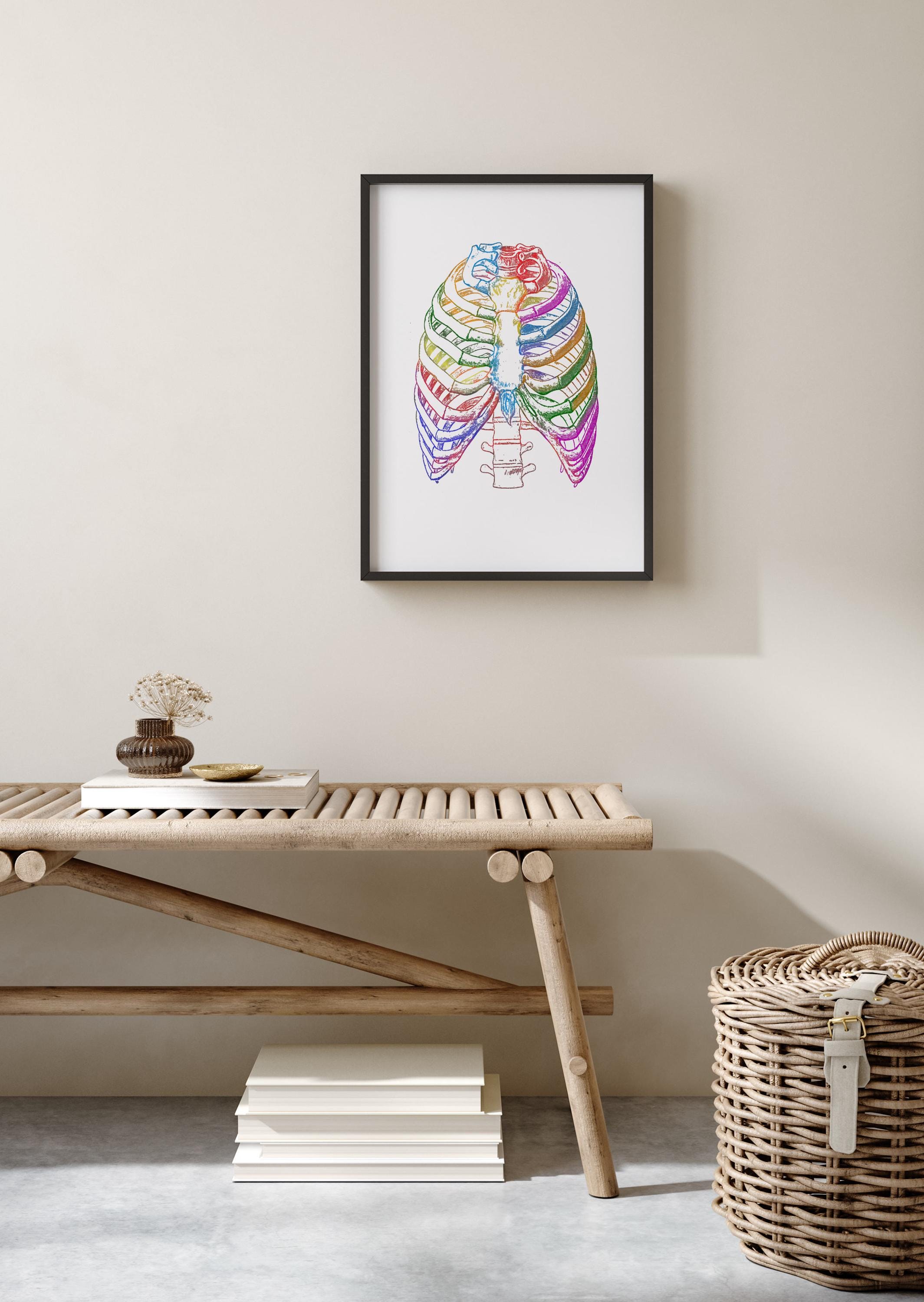 6 Chiropractic Anatomy Art Set, Chiropractor Gift, Medical Artwork ...