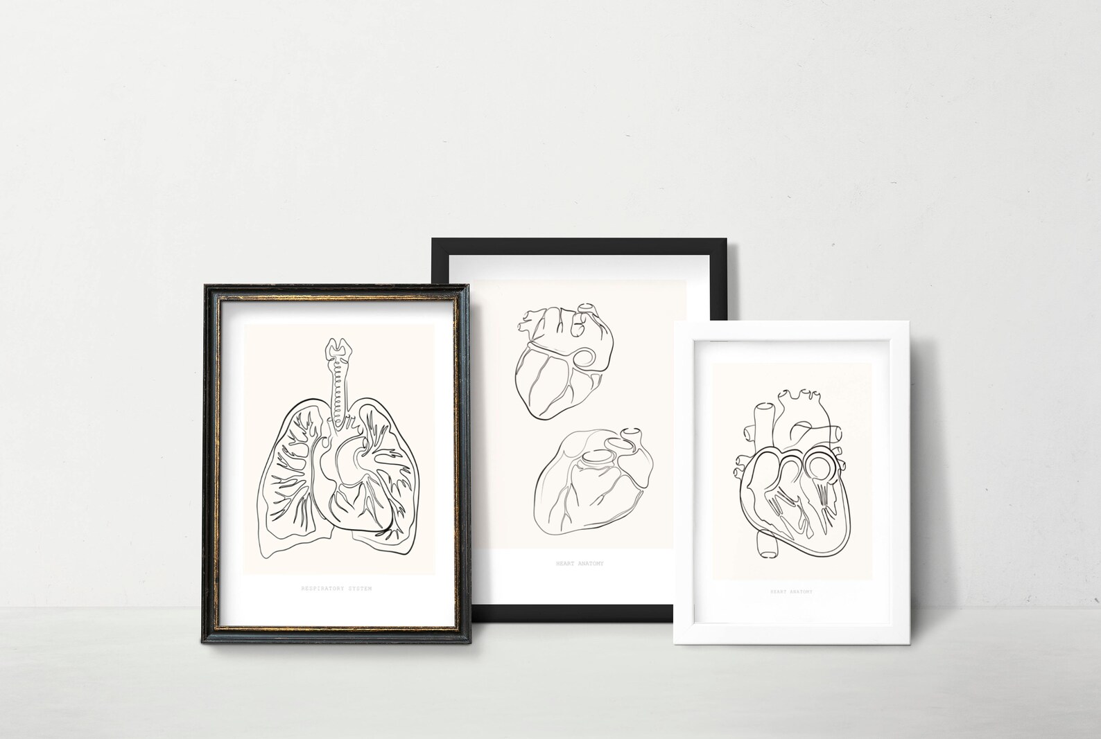 Heart Anatomy Print Anatomy Poster Anatomical Heart - Etsy