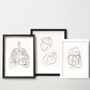 Heart Anatomy Print, Anatomy Poster, Anatomical Heart, Cardiology Gift ...