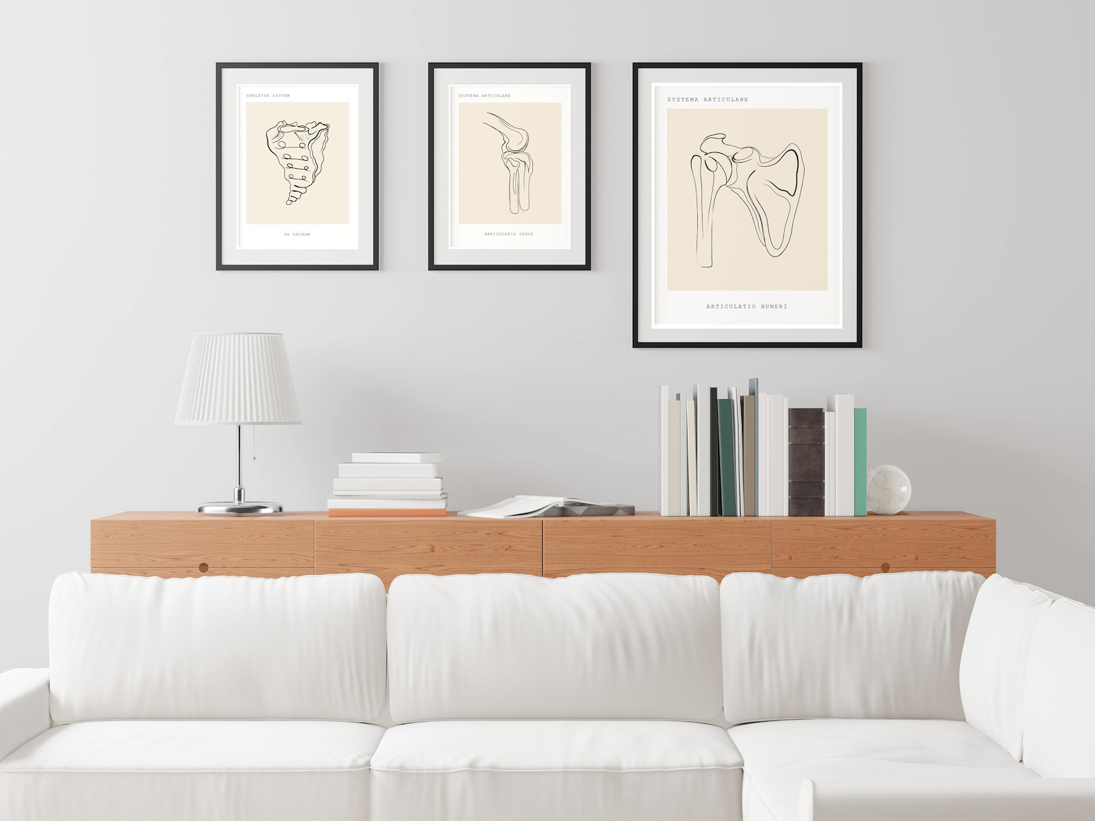 Human Anatomy Art Printsmedical Wall Art Set Anatomy Art - Etsy
