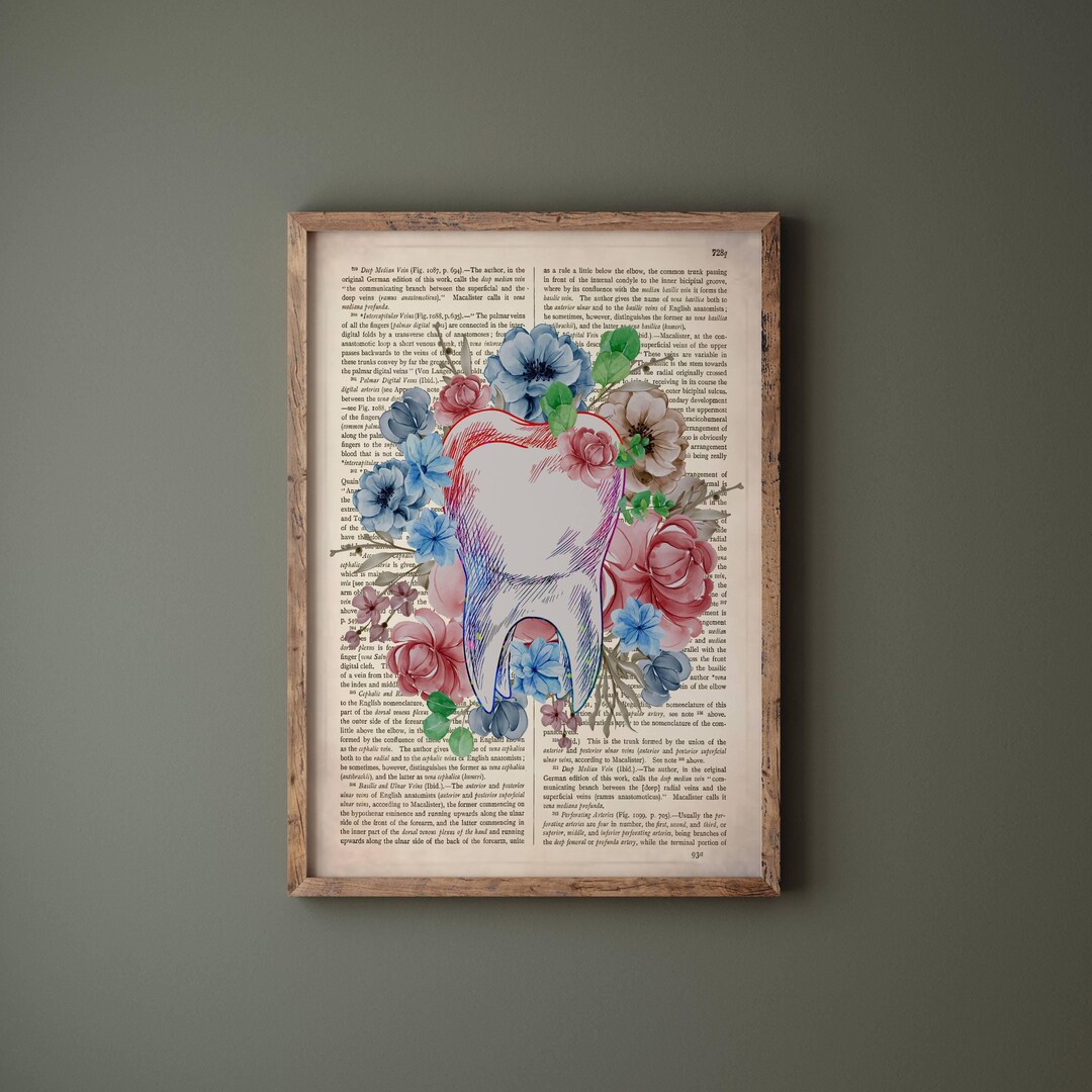 Vintage Dental Art, Dentist Office Decor, Tooth Anatomy Art, Dentistry ...