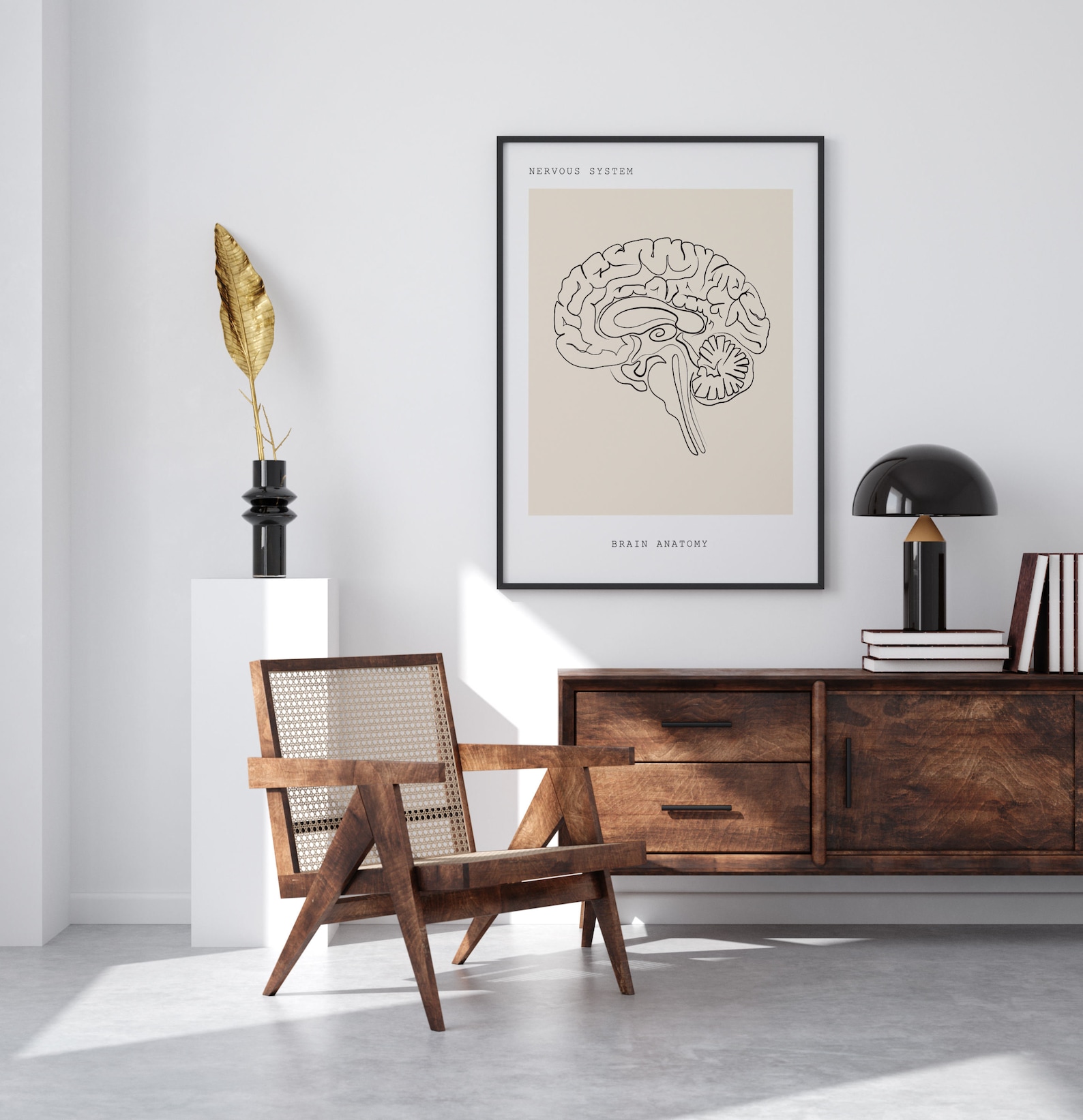 Brain Wall Art Human Anatomy Print Medical Art Brain - Etsy