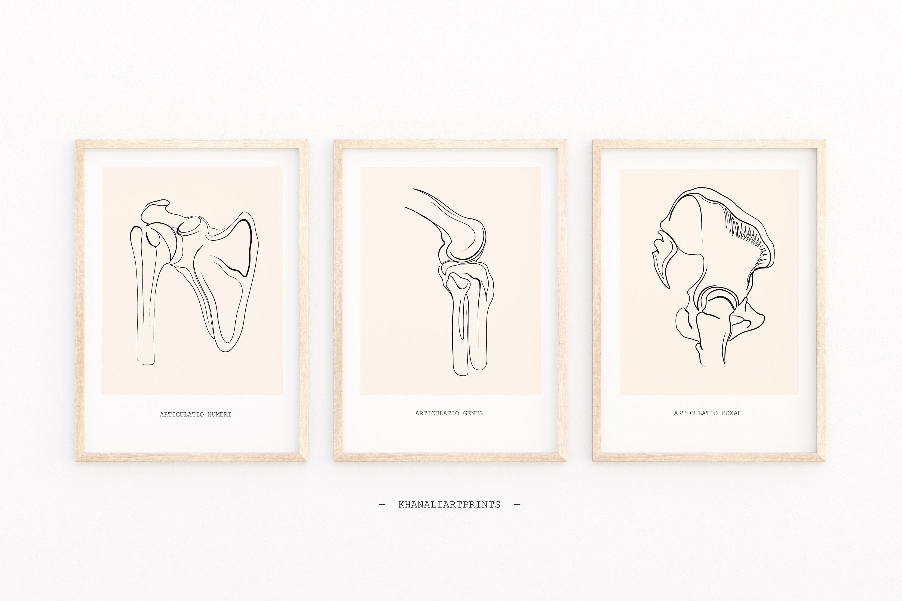 Human Anatomy Art Printsmedical Wall Art Set Anatomy Art | Etsy