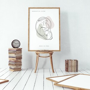 Fetus Anatomy Wall Art, Reproductive System Art, Medical Art, Anatomy ...