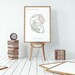 Fetus Anatomy Wall Art, Reproductive System Art, Medical Art, Anatomy ...