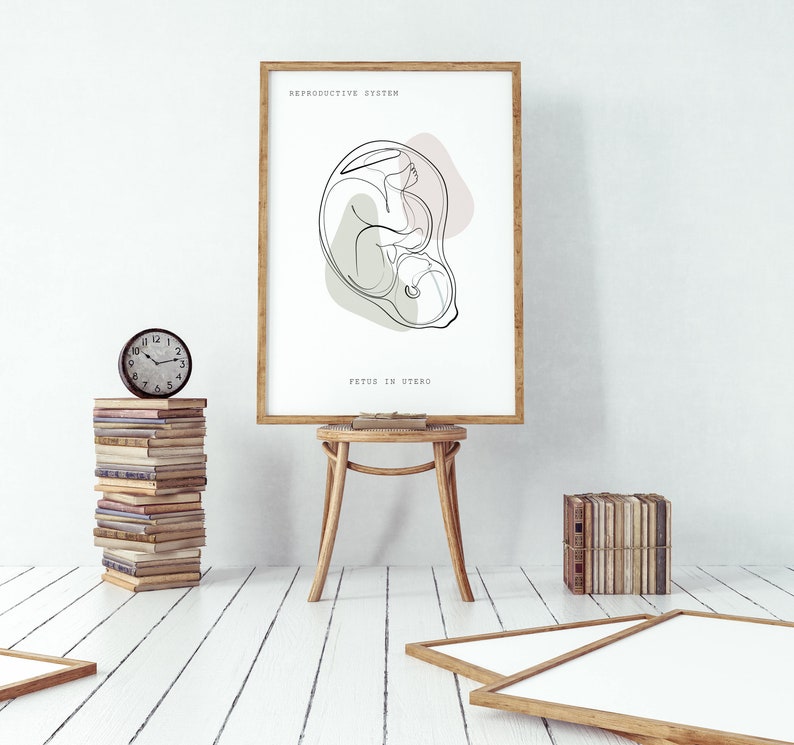 Fetus Anatomy Wall Art Reproductive System Art Medical Art - Etsy