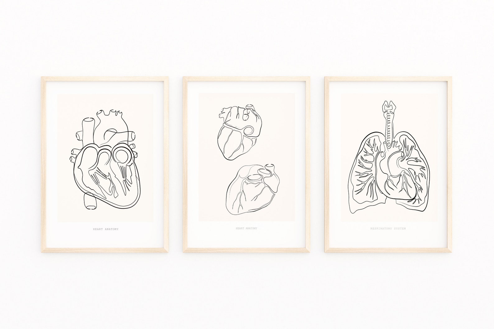 Anatomy Wall Art Anatomy Prints Human Anatomy Art Anatomy - Etsy