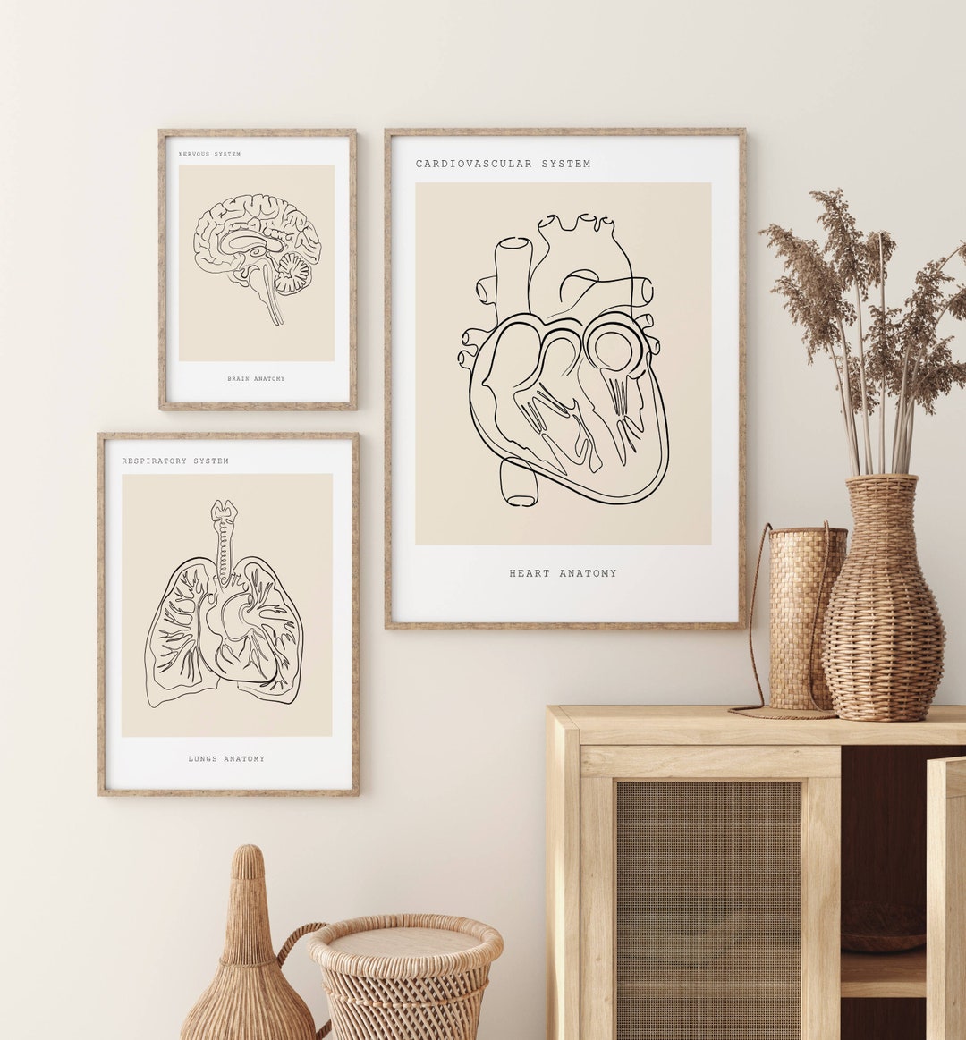 Anatomy, Medical Wall Art, Brain Art, Heart Art, Anatomy Art Prints ...