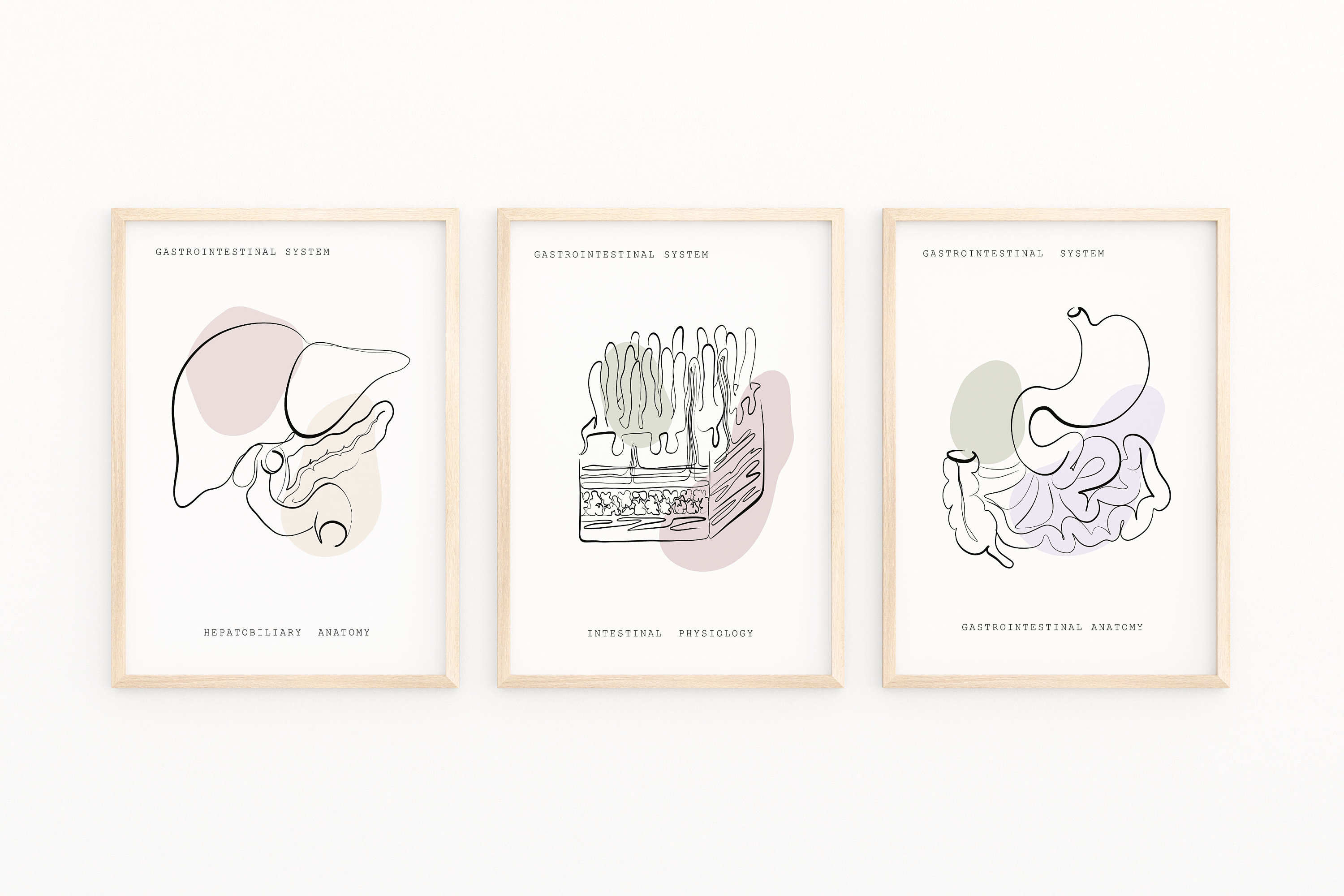 Anatomy Art, Gastrointestinal System, Medical Art, Anatomy Poster ...
