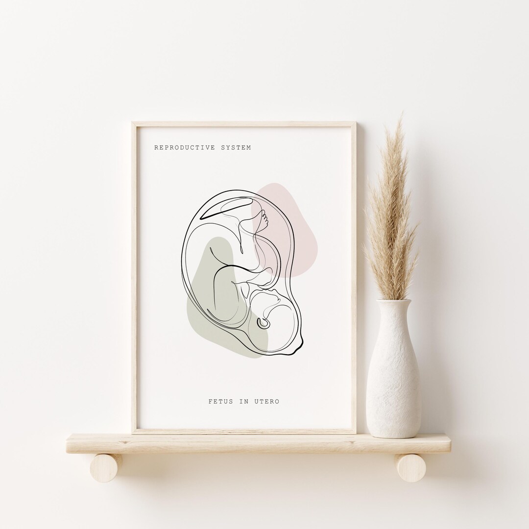 Fetus Anatomy Wall Art, Reproductive System Art, Medical Art, Anatomy ...